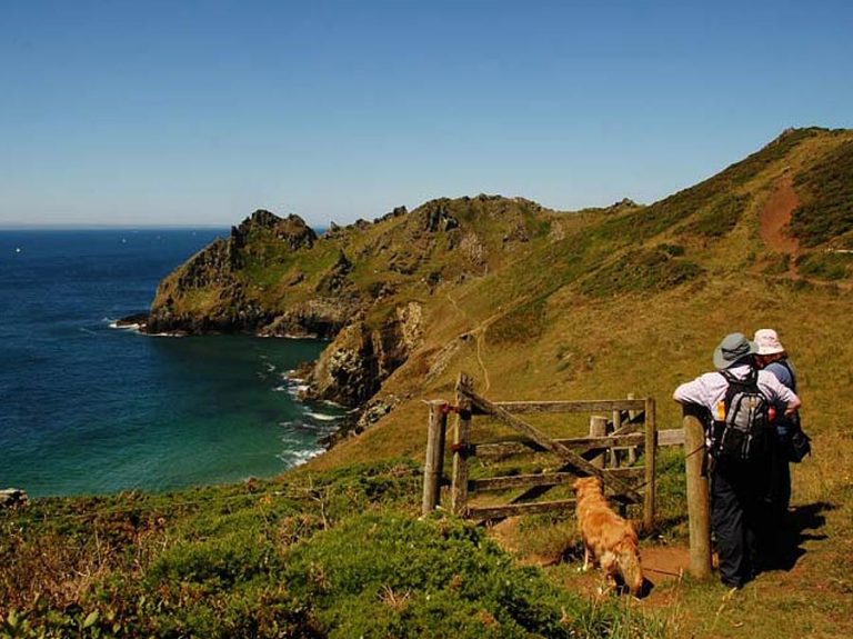 Life on the Edge - South Devon National Landscape