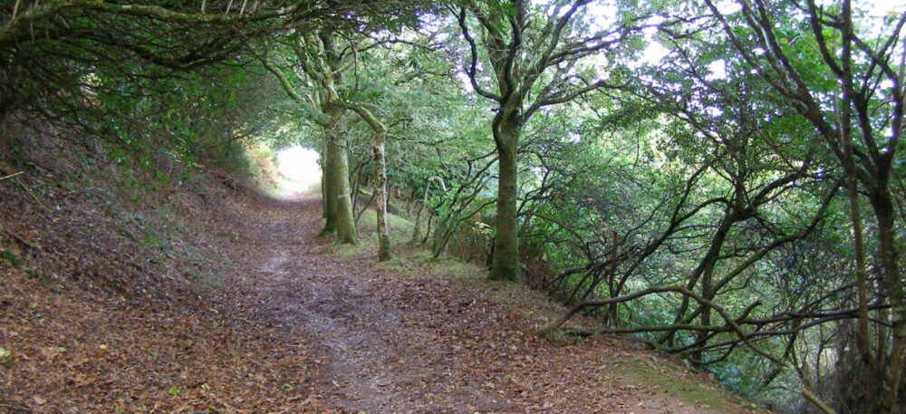 Noss Mayo and Revelstoke Drive (4.5m) - South Devon National Landscape