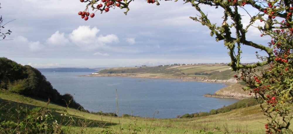 Noss Mayo and Revelstoke Drive (4.5m) - South Devon National Landscape