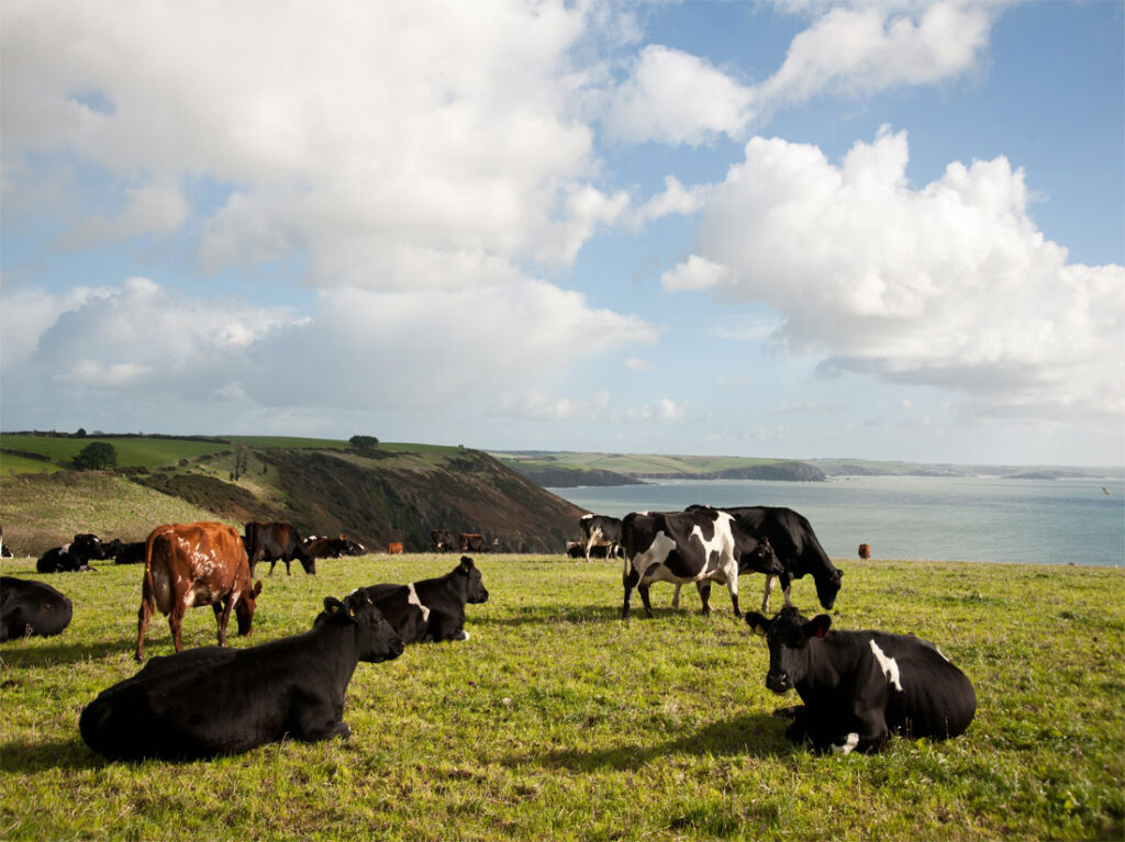 South Devon National Landscape | Nature Walks | Events