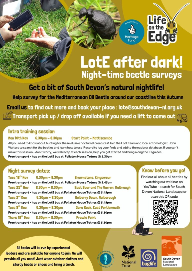 Life on the Edge after dark - Mediterranean Oil Beetle survey volunteer ...